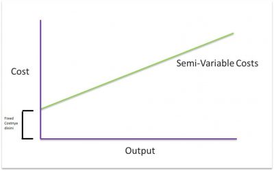 Apa itu Variable Cost dan Fixed Cost? (Dengan Contoh) - MASERP
