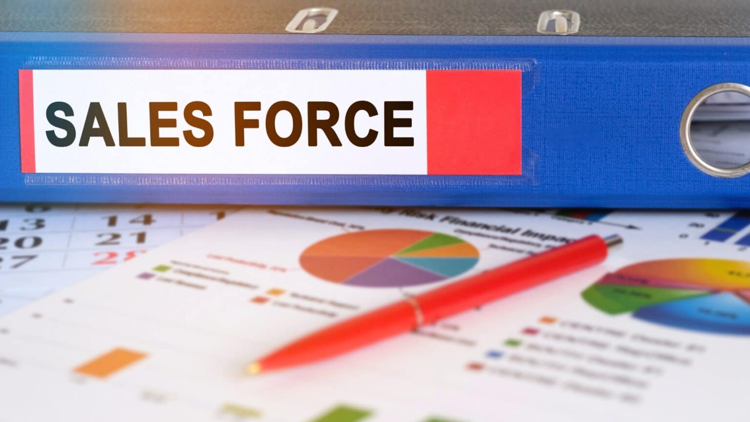 Mengenal Peran dan Fungsi Sales Force dalam Bisnis
