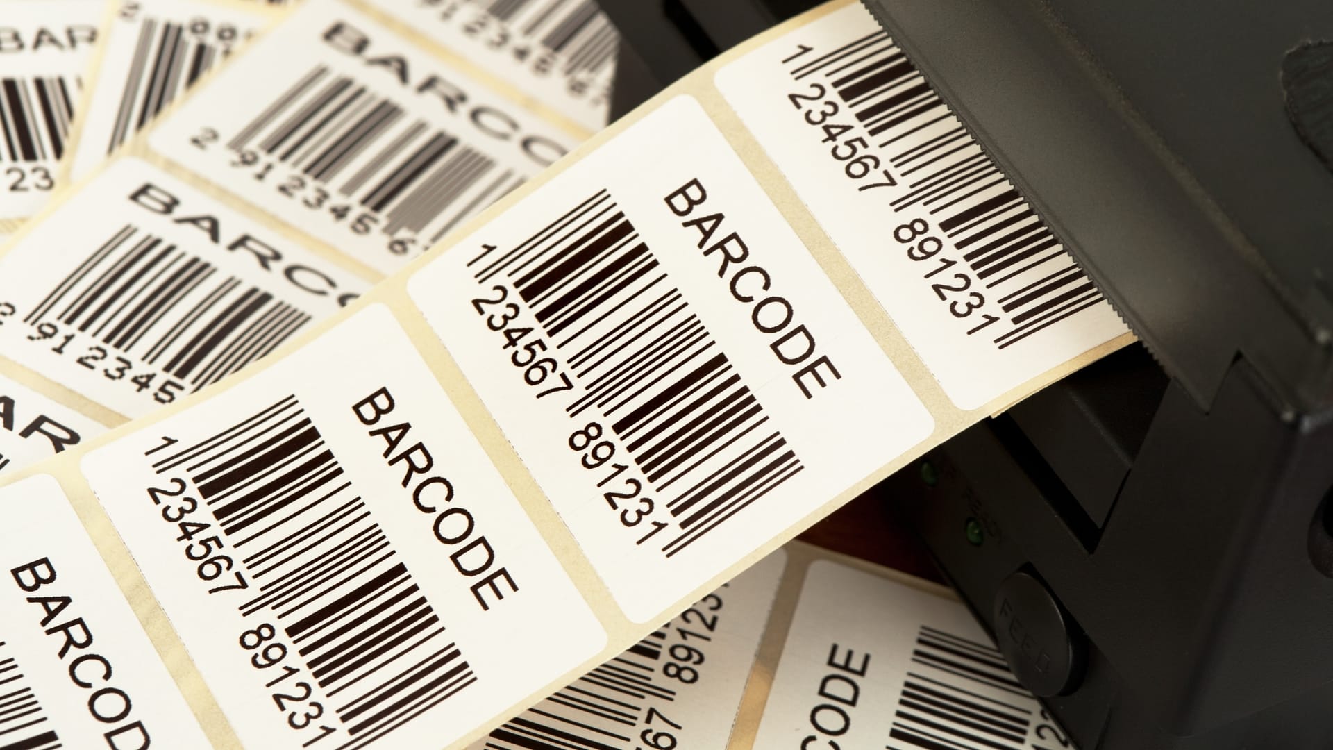 Komponen, Contoh, dan Cara Membuat Batch Number